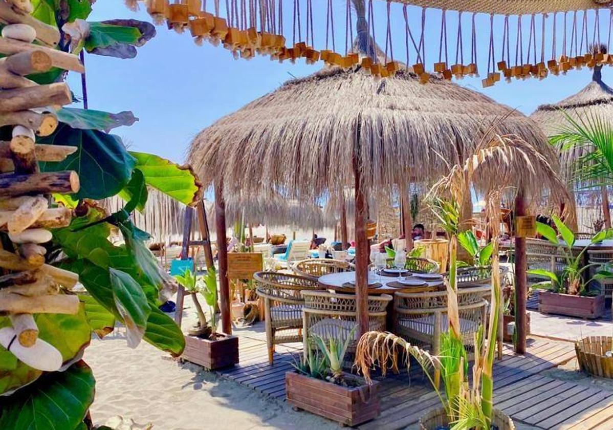 Palapa Beach: Un ambiente diferente y muy actual | Diario Sur